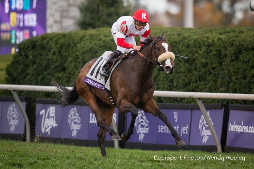 Second Time's The Charm For Stephanie's Kitten In Filly & Mare Turf ...