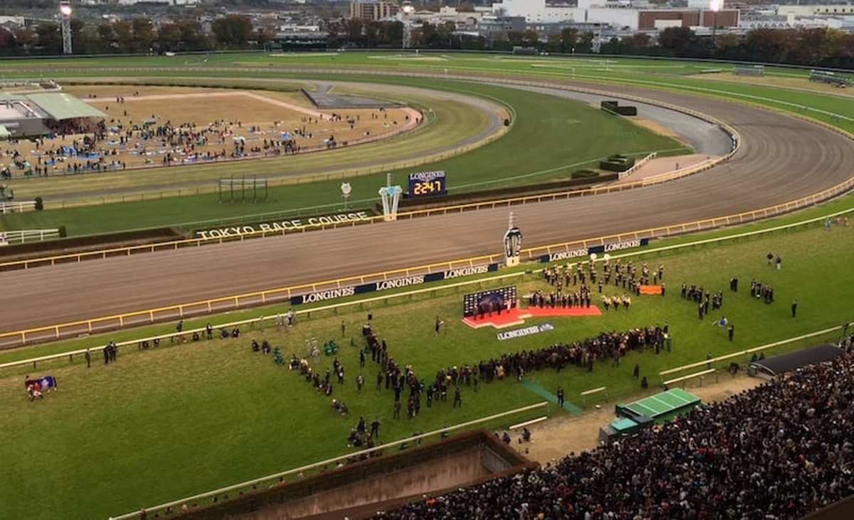 An American In Tokyo: Neon Lights, Horse Racing And Robots - Paulick ...