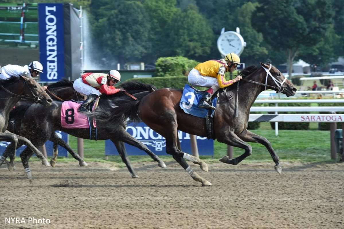 Ocala Stud To Stand Jess's Dream; Son Of Curlin And Rachel Alexandra ...