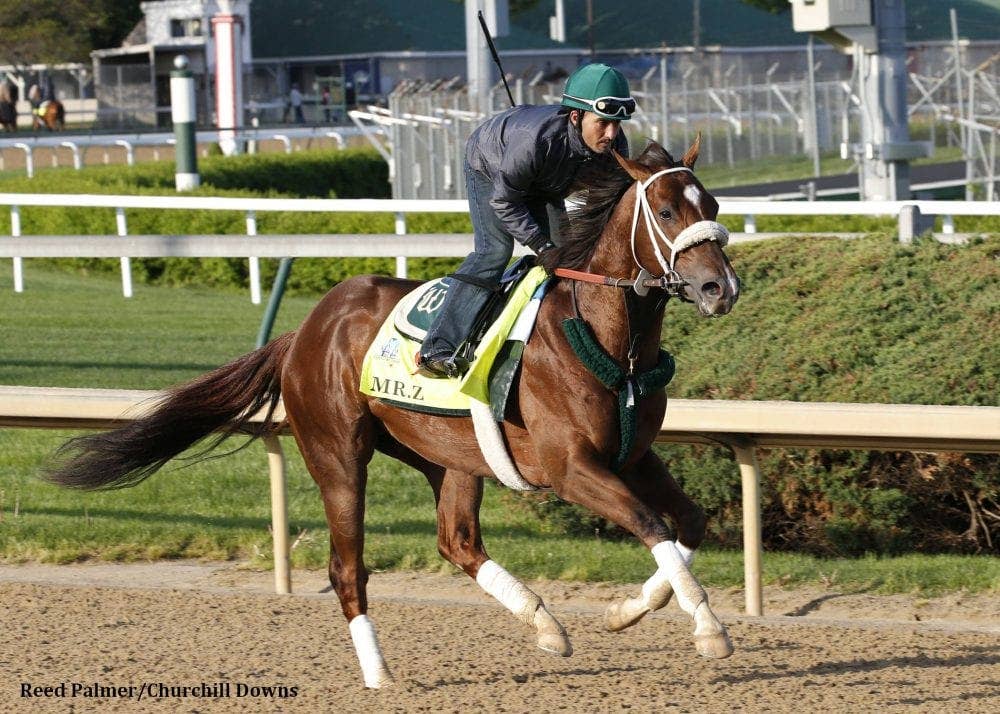Kentucky Derby Runner Mr. Z Headed To Saudi Arabia After Keeneland ...