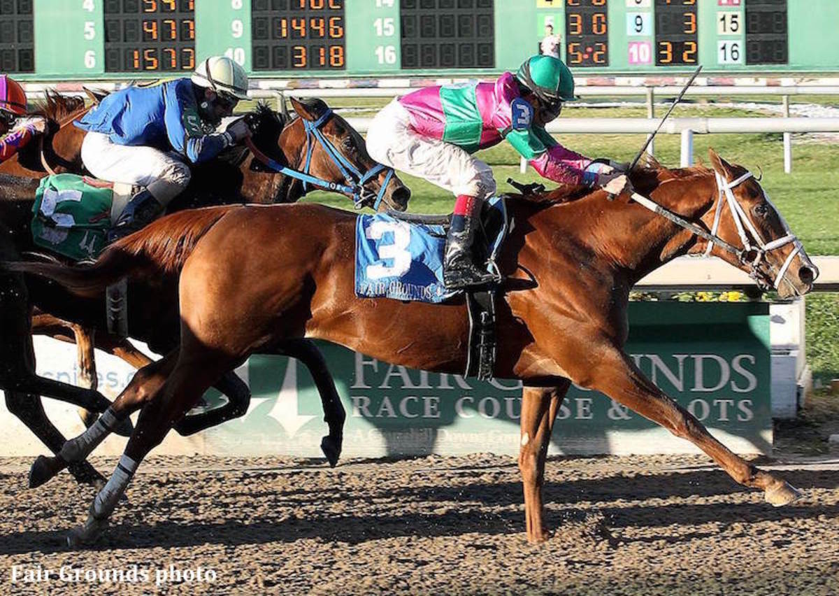 'Great' Work For Dolphus, Connections Eye Lecomte Stakes - Paulick ...