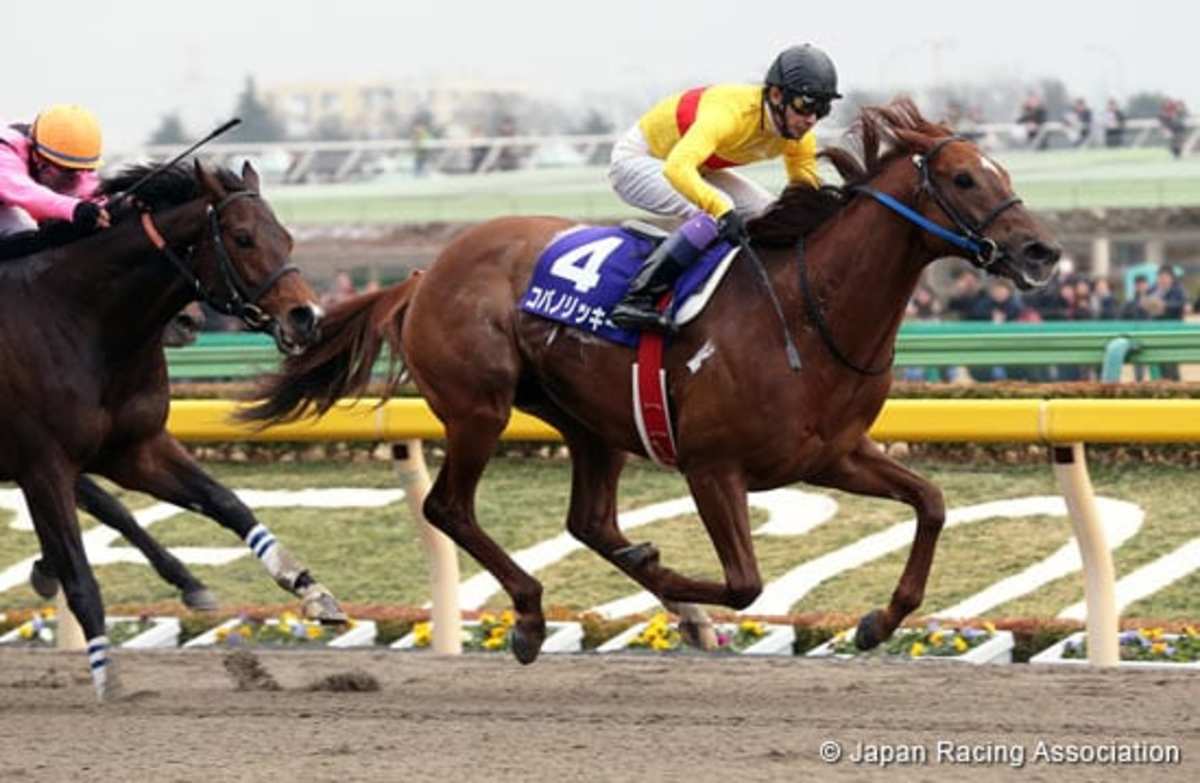 2016 Breeders' Cup Could Be Among First Japanese Simulcasts - Paulick ...