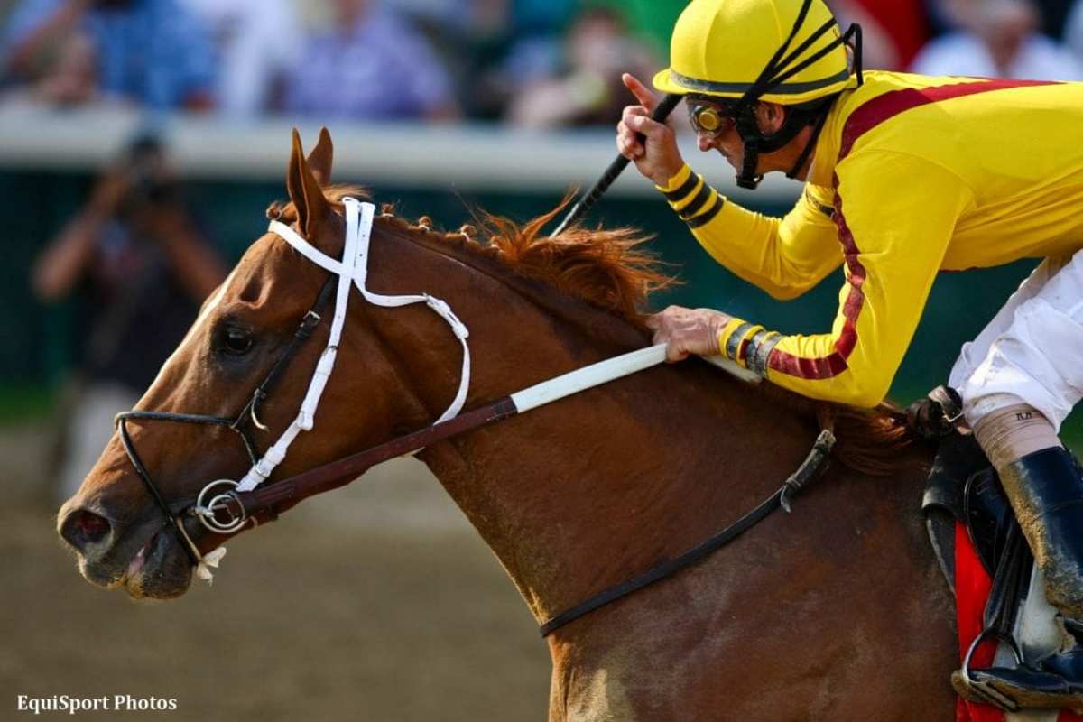 Curlin, Kitten's Joy Anchor 2018 Hill 'N' Dale Stallion Roster ...