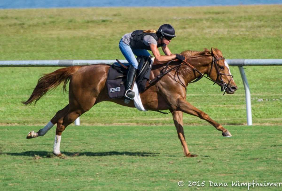 Breeders’ Cup Presents Connections: Rubley Rewarded For Following ...