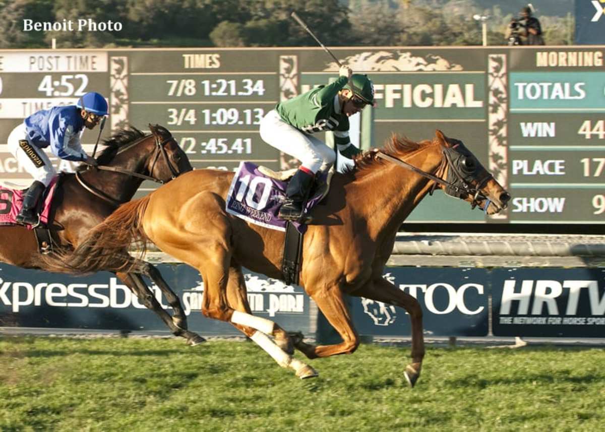 Pin Oak Stud Presents Bloodlines: Fappiano's Influence Lives On ...