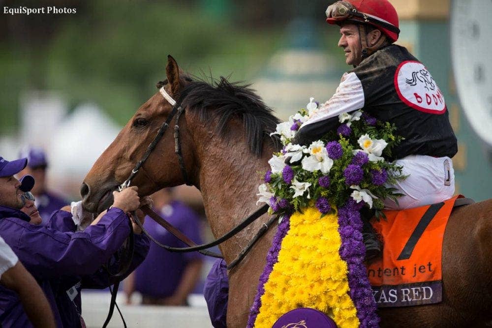 Report: Texas Red To Miss Kentucky Derby - Paulick Report | Latest news ...