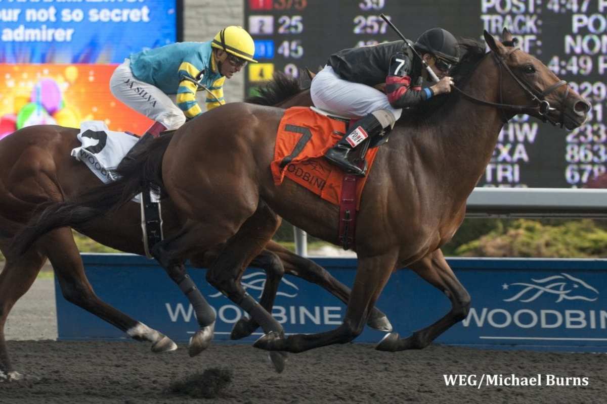 Adena Springs Donates Seasons To Shaman Ghost, Others, For Canadian ...