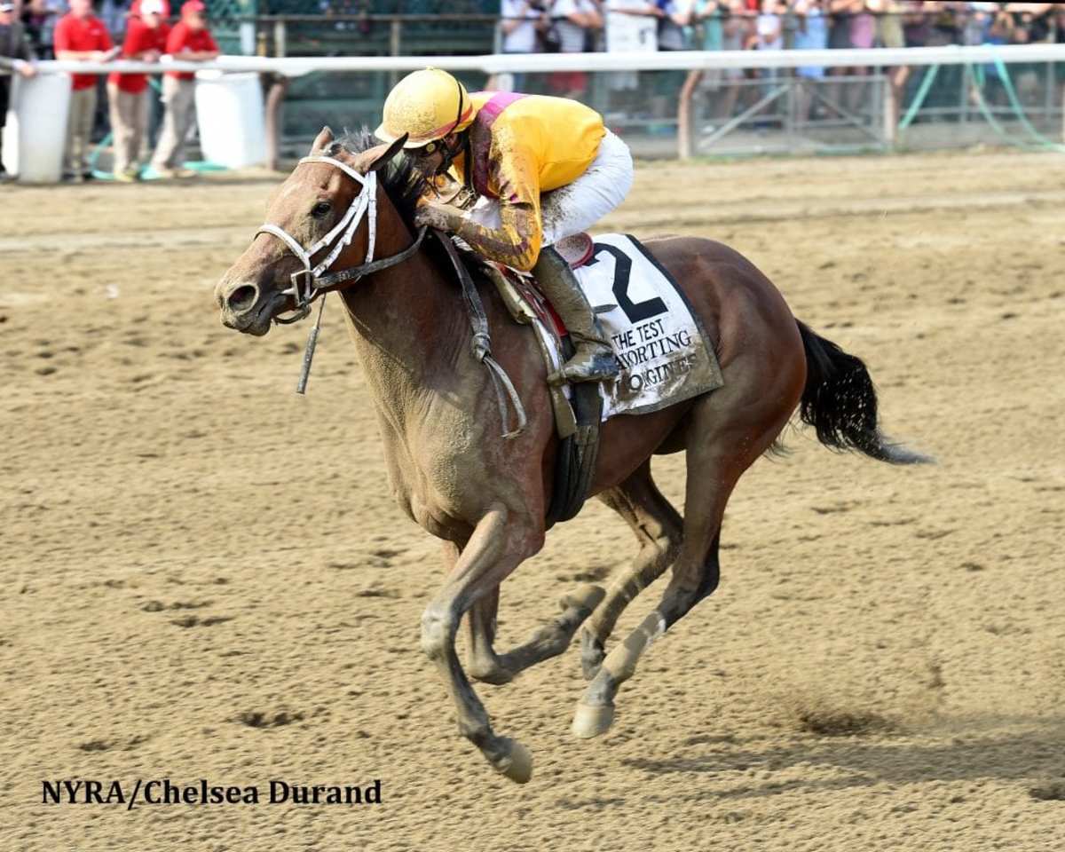 Cavorting Rallies Strongly To Capture Test Stakes - Paulick Report ...