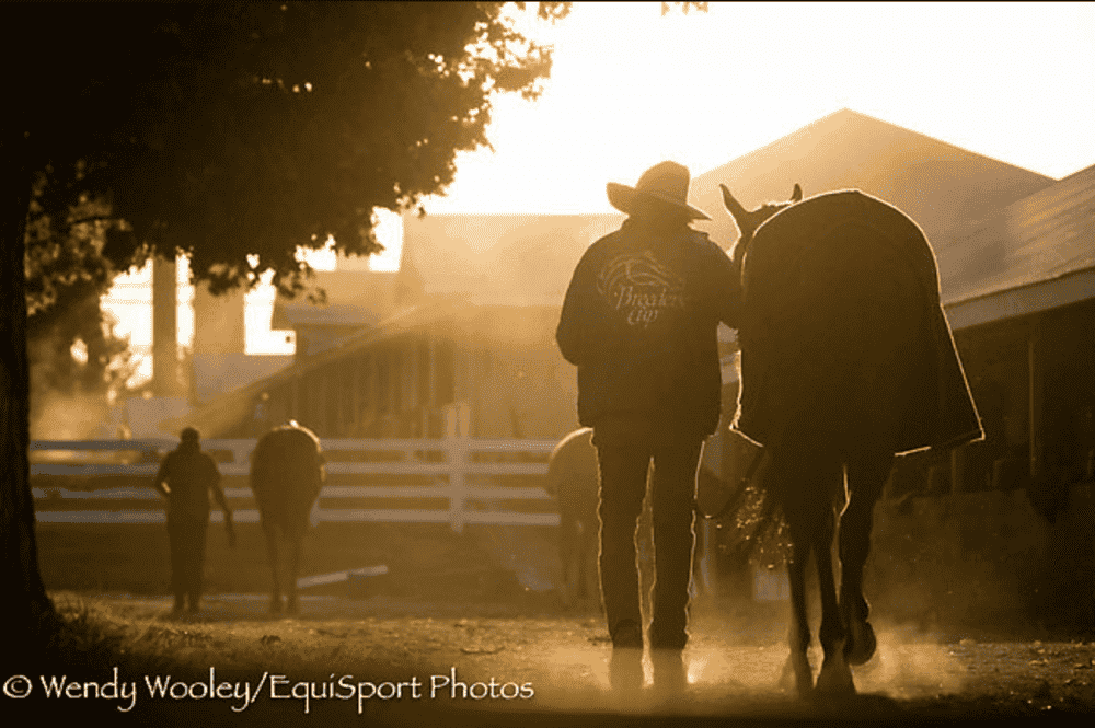 Kentucky Strangles: Keeneland Barn Released From Quarantine - Paulick ...