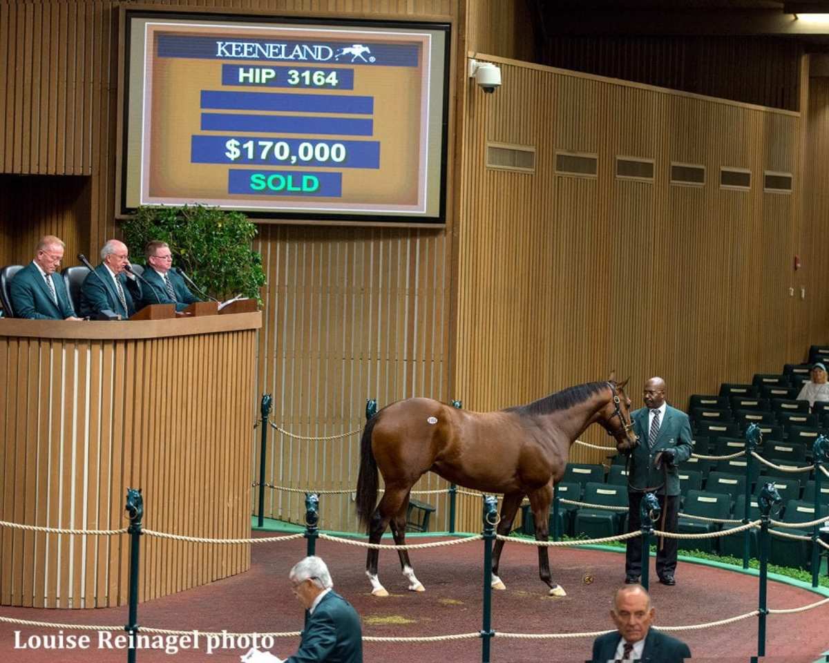 $170,000 Colonel John Colt Commands Highest Price On Day 10 At ...