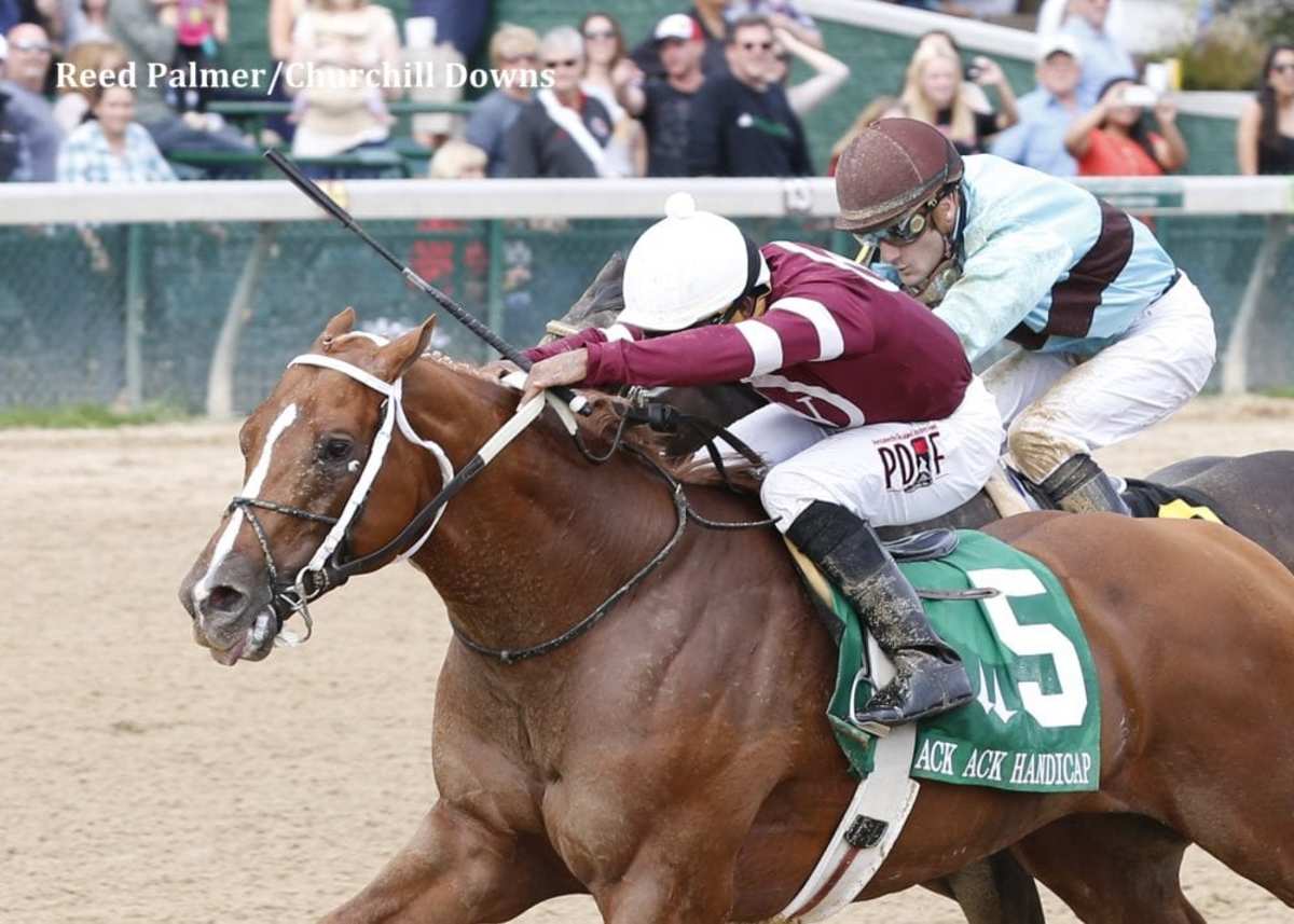 Tapiture Back In Winner's Circle With Ack Ack Score - Paulick Report ...