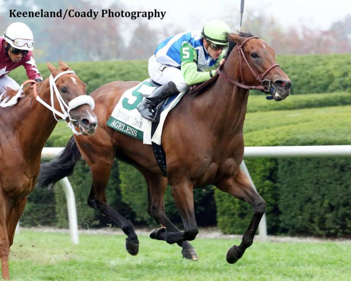 Ageless Out Of Turf Sprint; Marchman Moves Into Field - Paulick Report ...