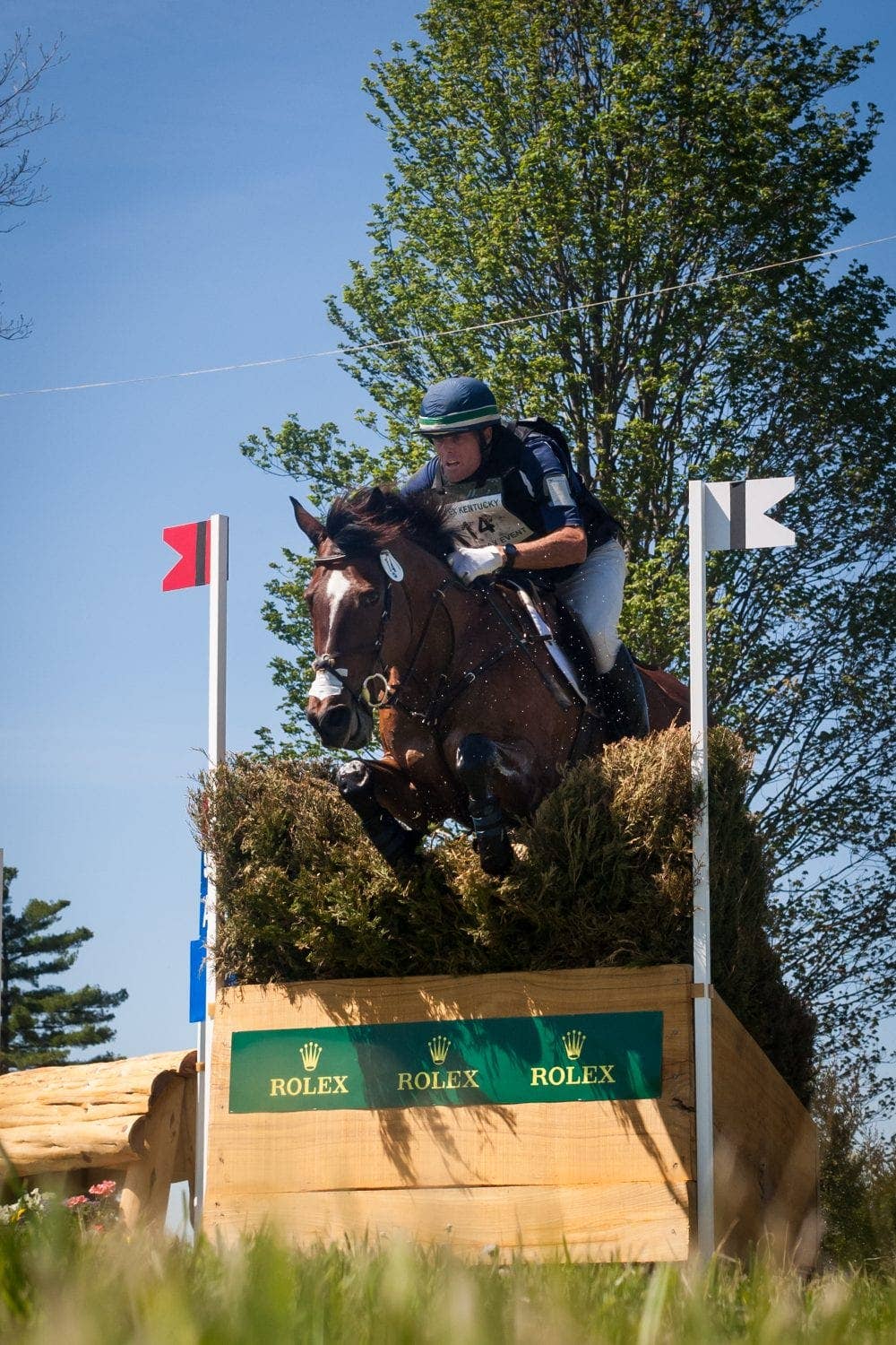 Retired Racehorse Project Announces Thoroughbred Makeover Fundraiser At ...