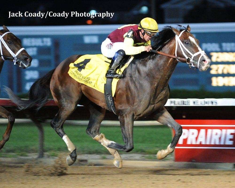 Golden Lad Retired, Headed To Northview Stallion Station - Paulick ...