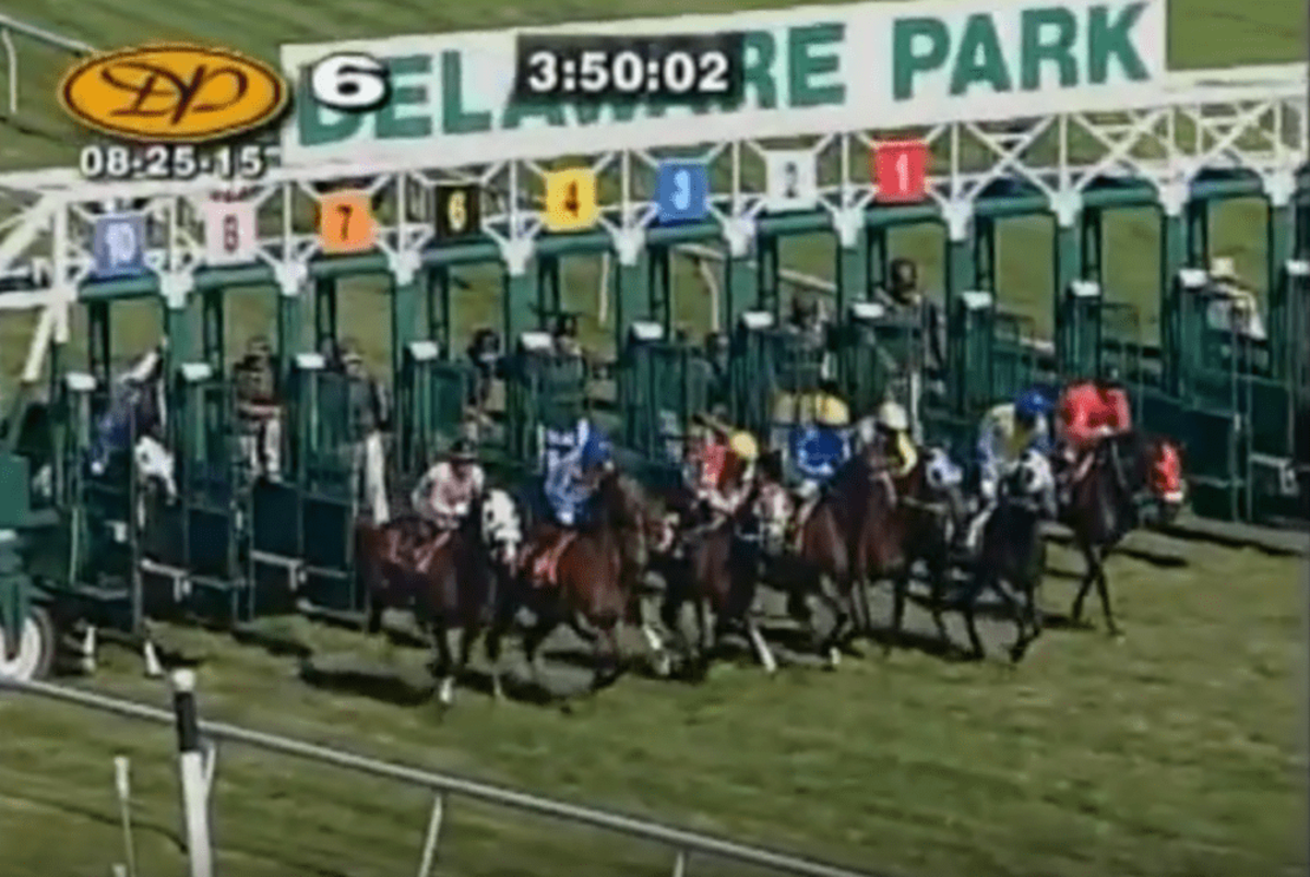 Going Nowhere: Delaware Park Horse Gets Freakishly Stuck In Gate ...