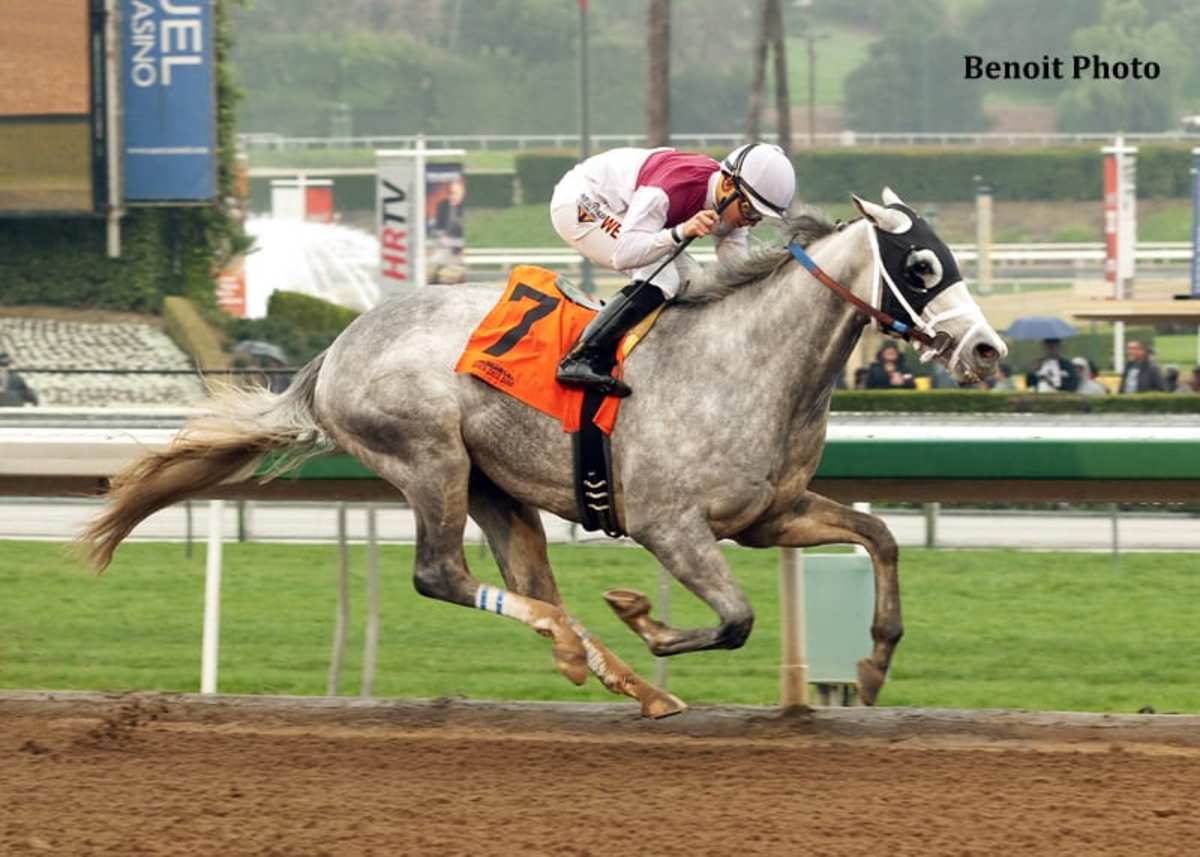 Calculator Dominant in Sham Stakes Victory - Paulick Report | Latest ...