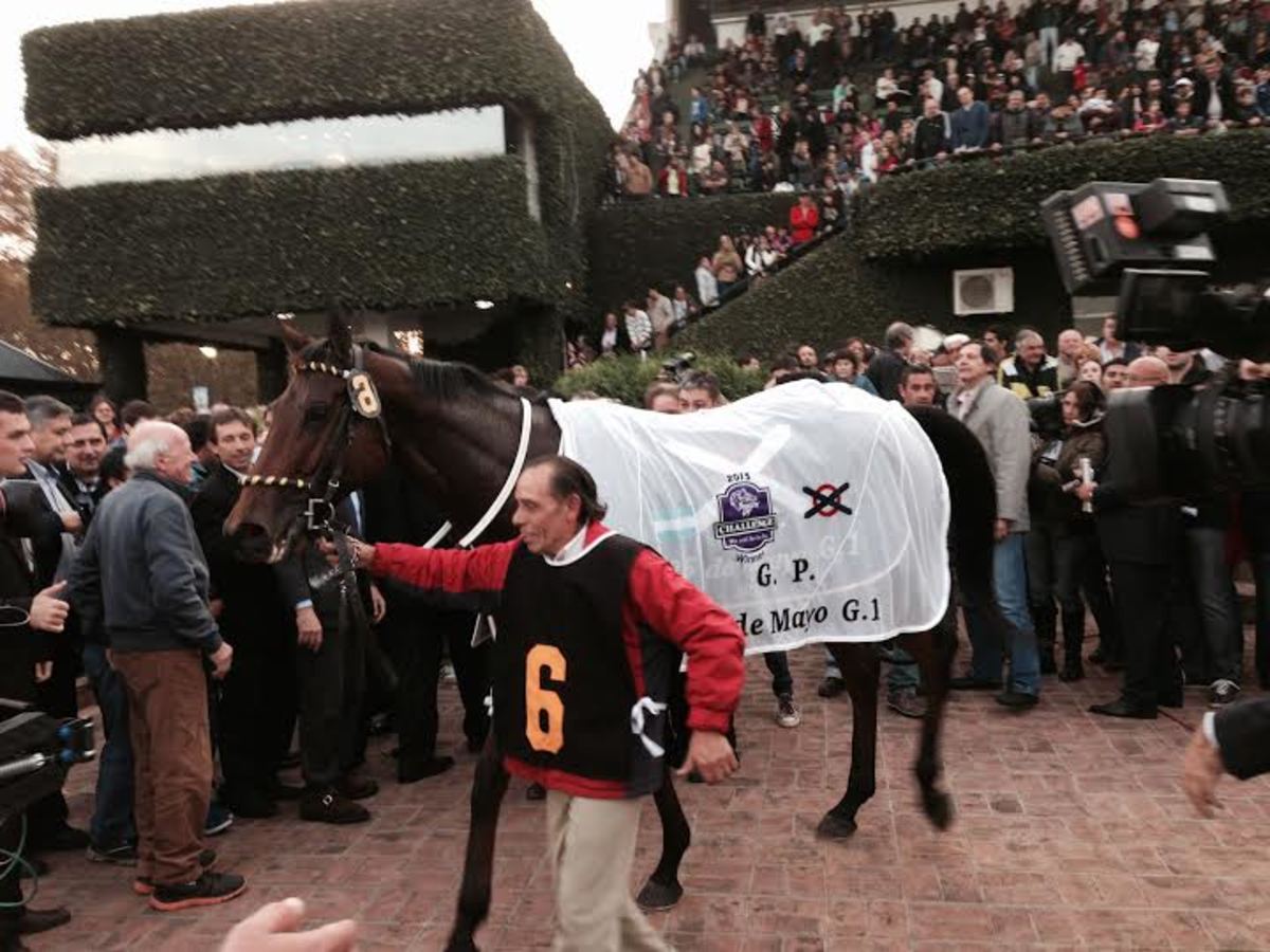 Victory In Gran Premio 25 De Mayo Earns Ordak Dan Berth In BC Turf ...