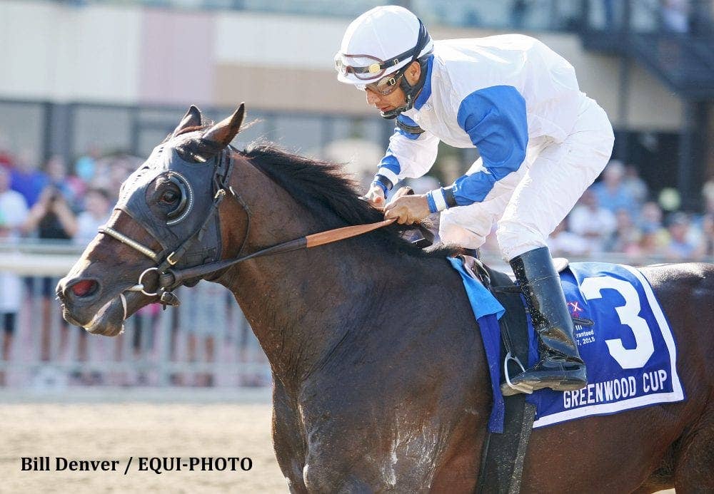 Grade 2 Winner Neck 'N Neck Dies In Indiana - Paulick Report | Latest ...