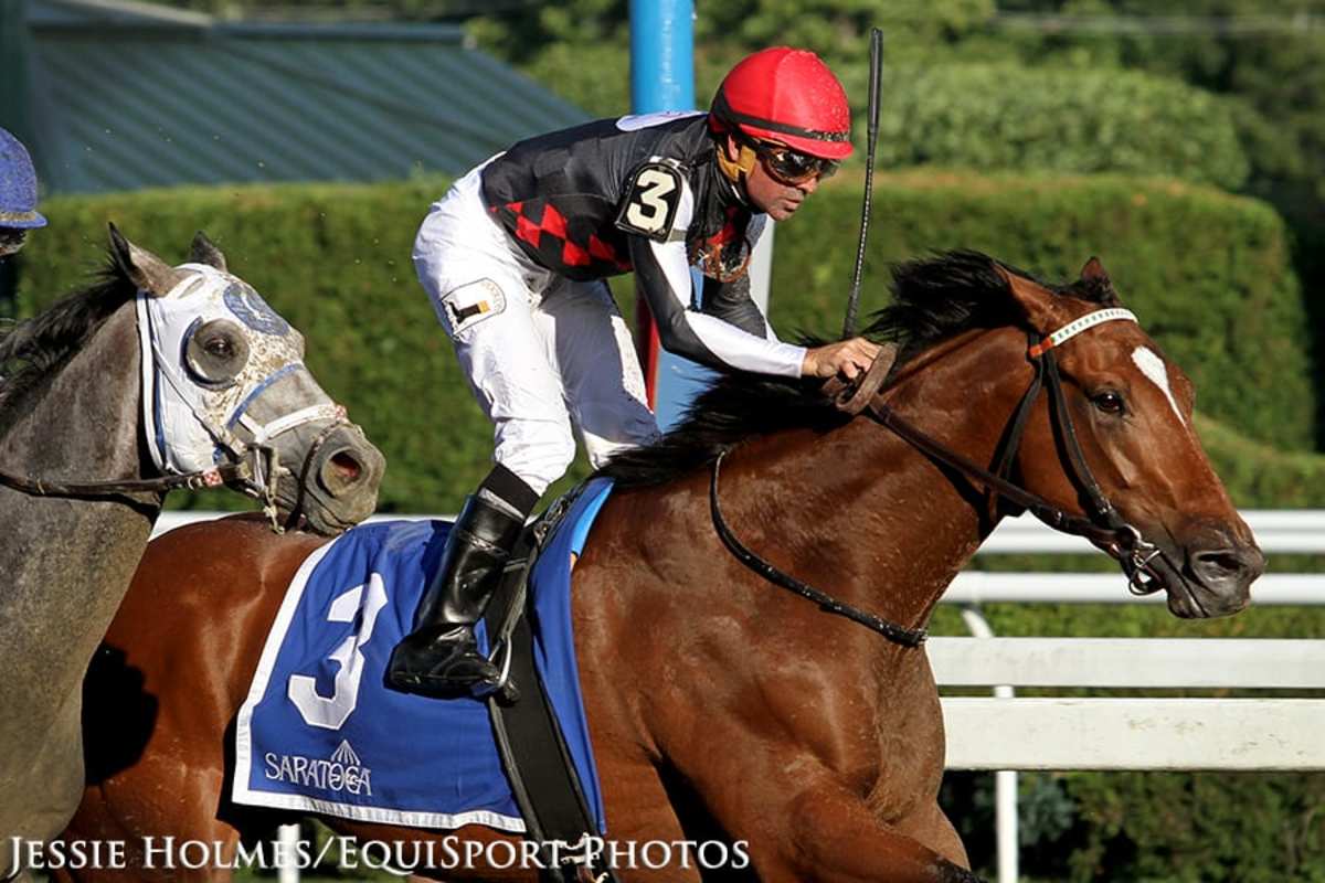 BC Juvenile Champ Texas Red Retired From Racing - Paulick Report ...