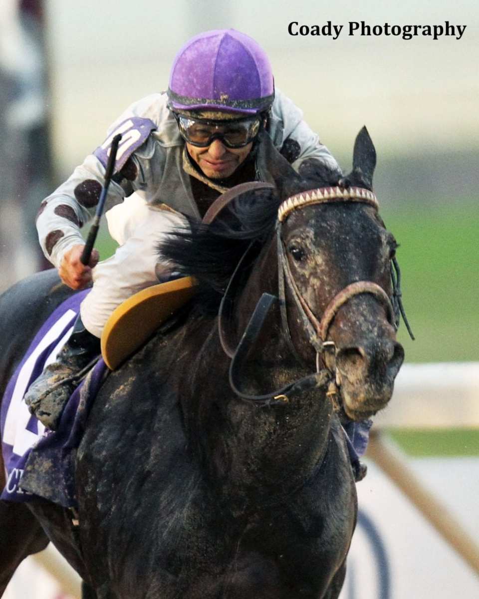 Ocho Ocho Ocho Faces Tough Field In Surface Switch For Penn Mile ...