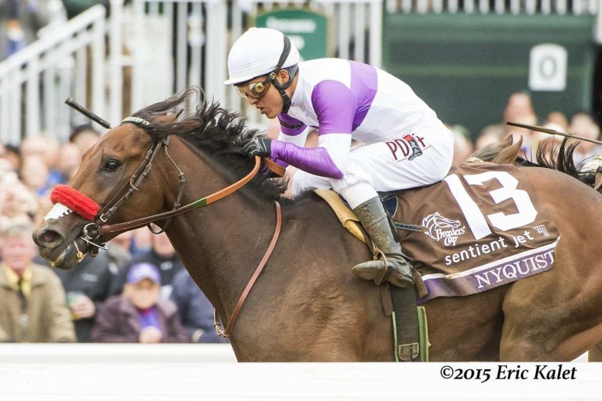 Nyquist Continues San Vicente Prep With 'Super' Work - Paulick Report ...