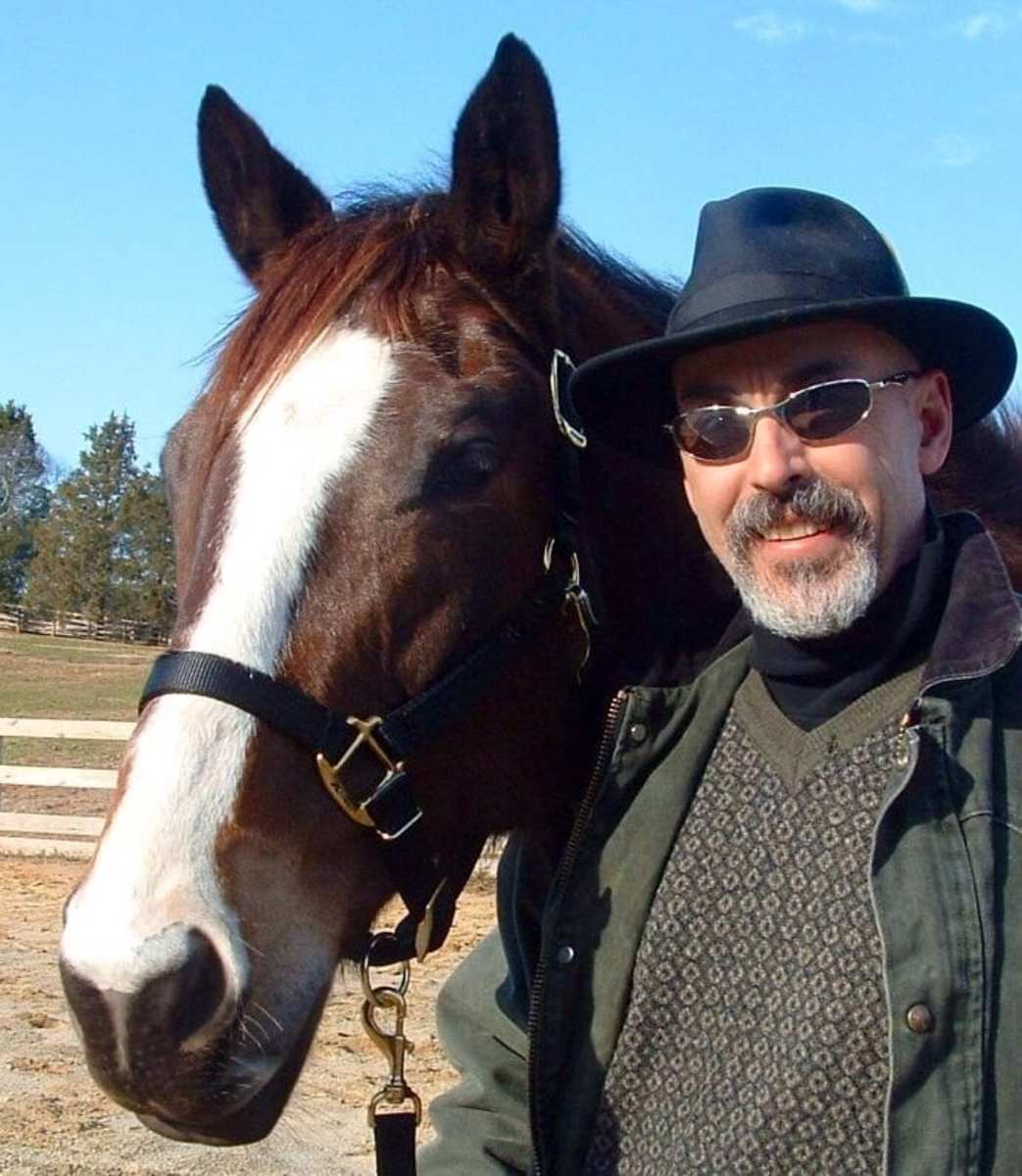 Cosequin presents OTTB Showcase: Remembering 'Lily' - Paulick Report ...