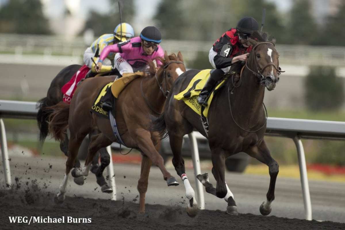 Front-Running Riker Continues Winning Ways With Grey Stakes Victory ...