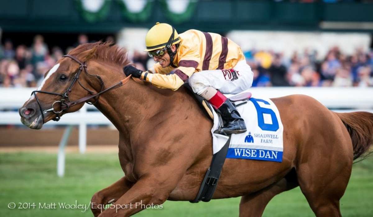 "Wise Dan Day" Celebration At Old Friends July 6 - Paulick Report ...