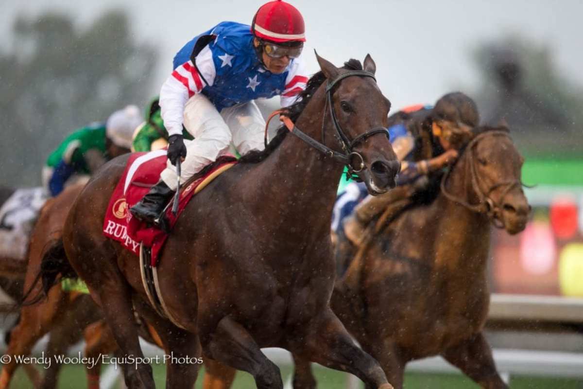 Runhappy Takes Fourth Straight Win In Damp Phoenix Stakes - Paulick ...