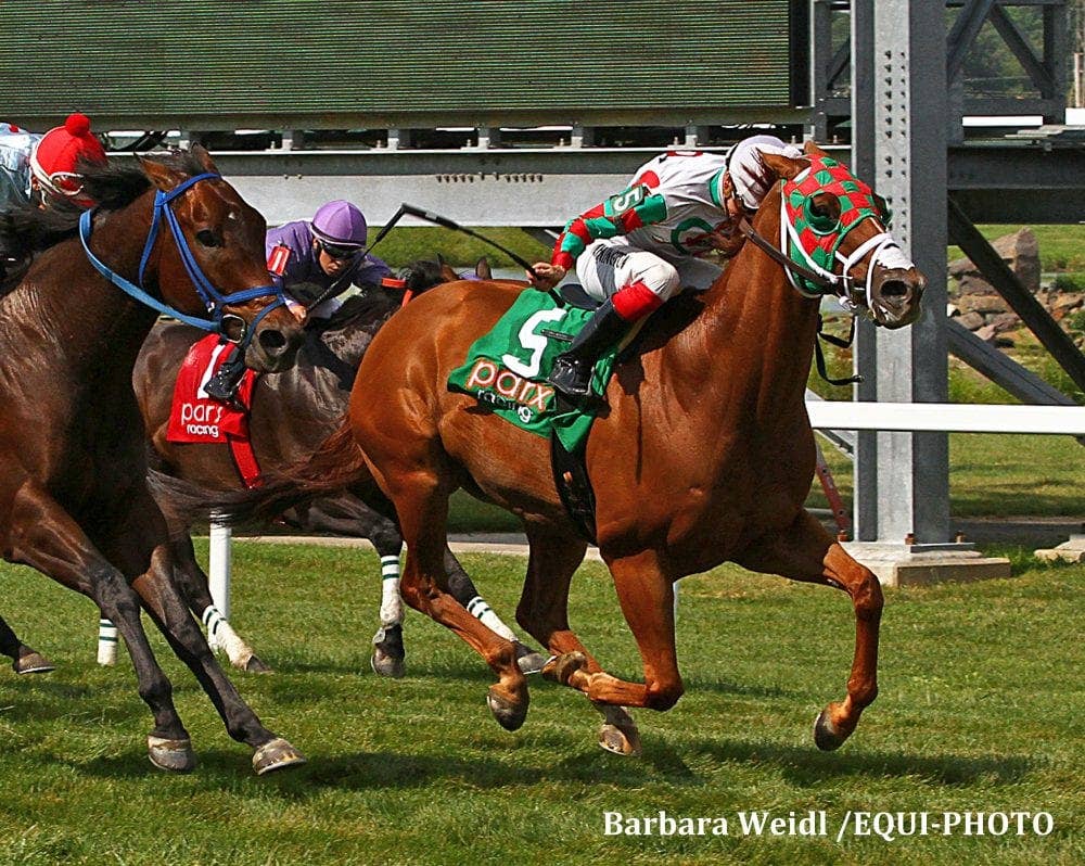 Tightend Touchdown Scores In Parx Dash - Paulick Report | Latest news ...