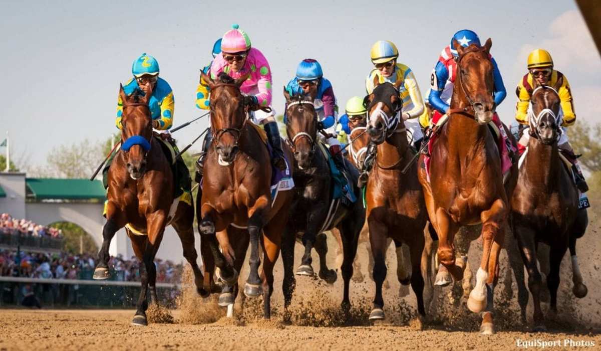 VIDEO: Where Are The Horses Of The 2015 Kentucky Derby Today? - Paulick ...