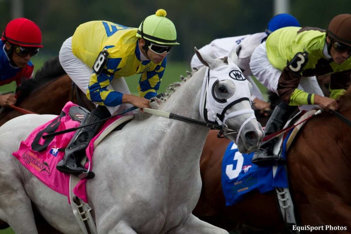 Bloodlines Presented By Walmac Farm: Hansen And His Possible Successor ...