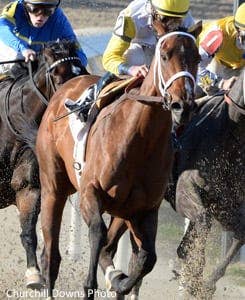 Lemons Forever Daughter Ready For Rachel Alexandra Stakes - Paulick ...