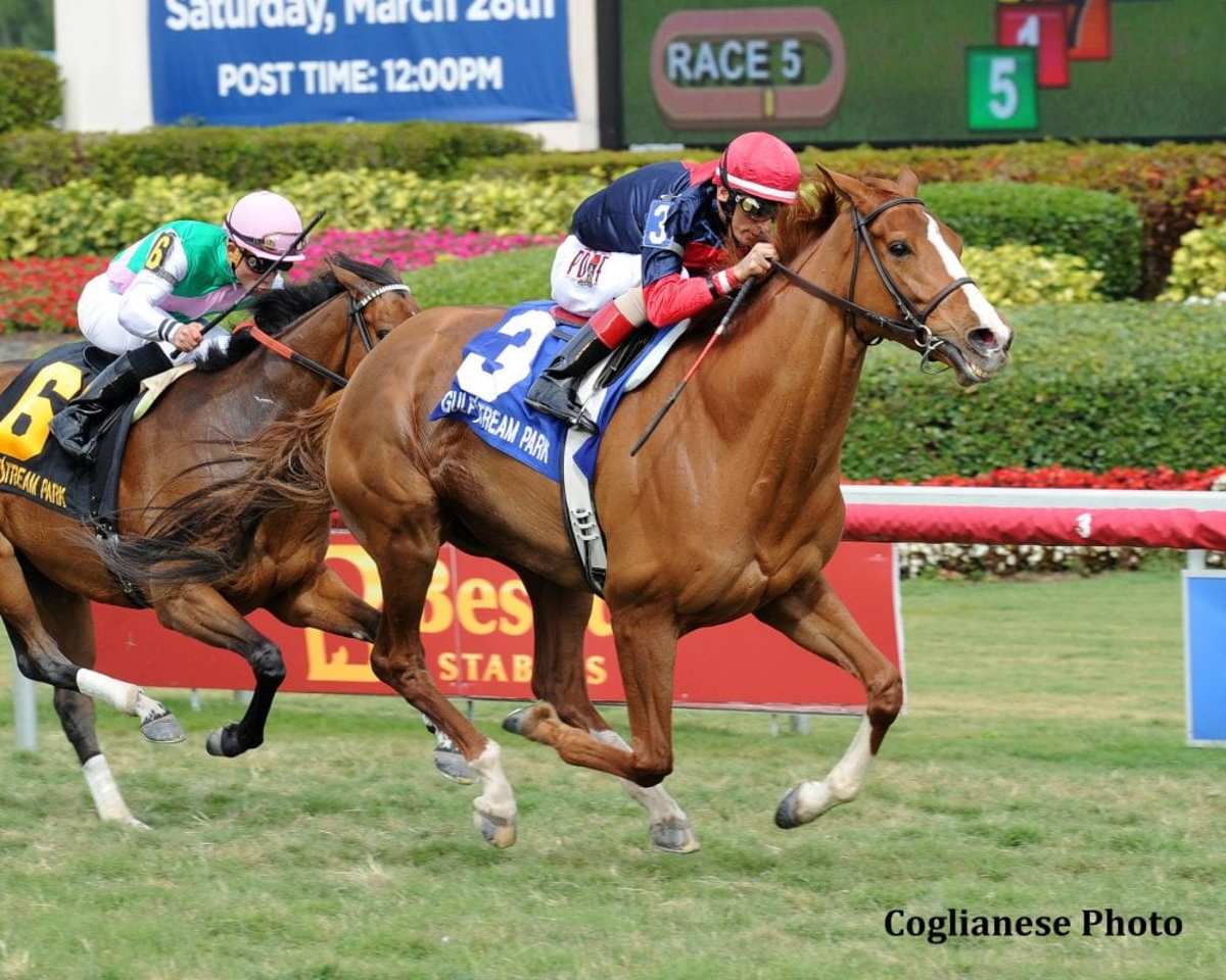 Irish Mission Proves Best In The Very One - Paulick Report | Latest ...