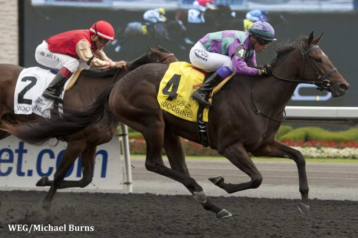 Gamble's Ghost Proves Best In Mazarine Stakes - Paulick Report | Latest ...