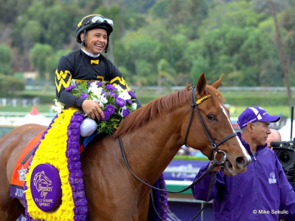 Judy The Beauty, La Verdad Face Off In Honorable Miss - Paulick Report ...