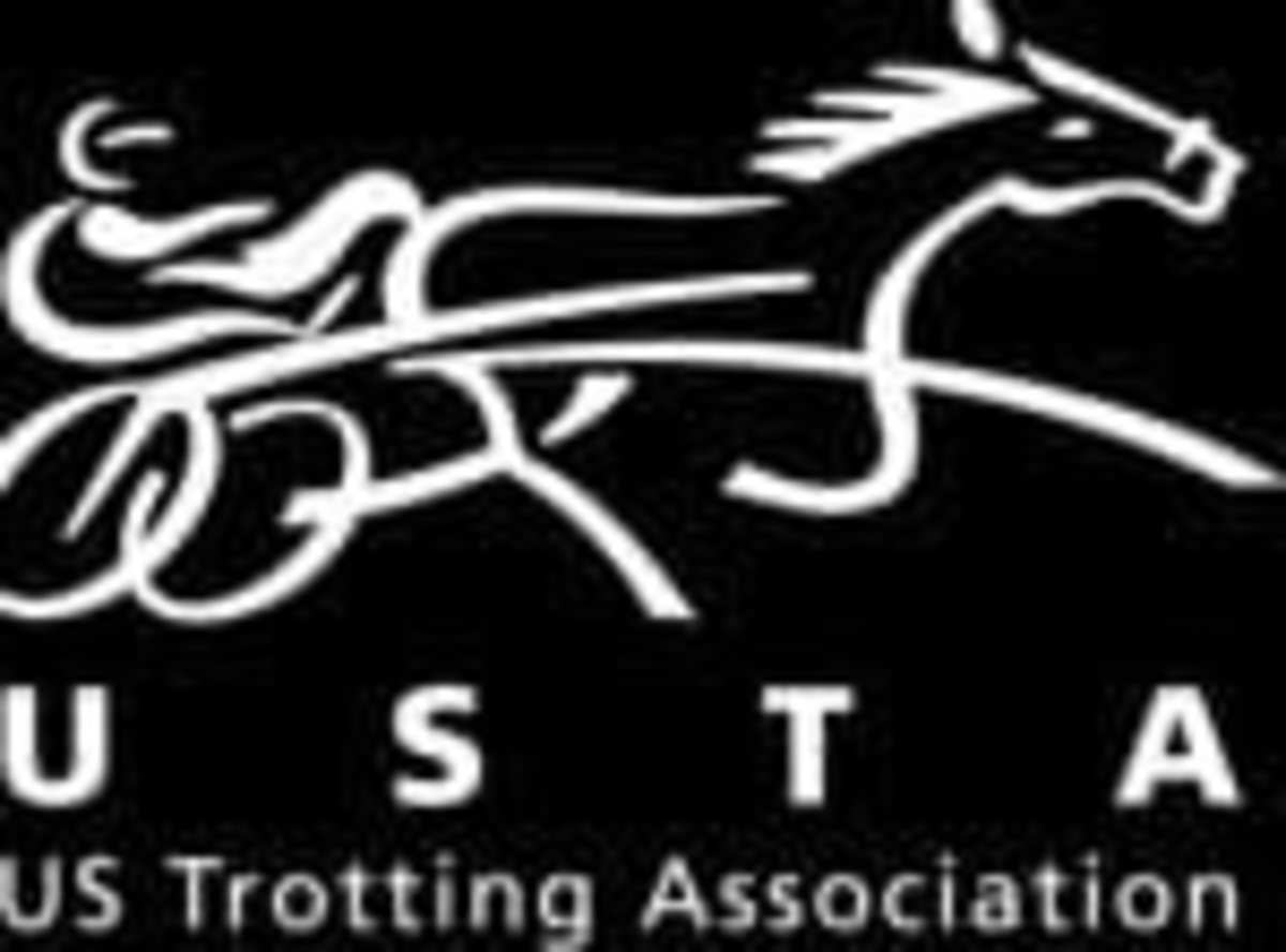 Thoroughbred Racing Protective Bureau To Provide Integrity Services For ...