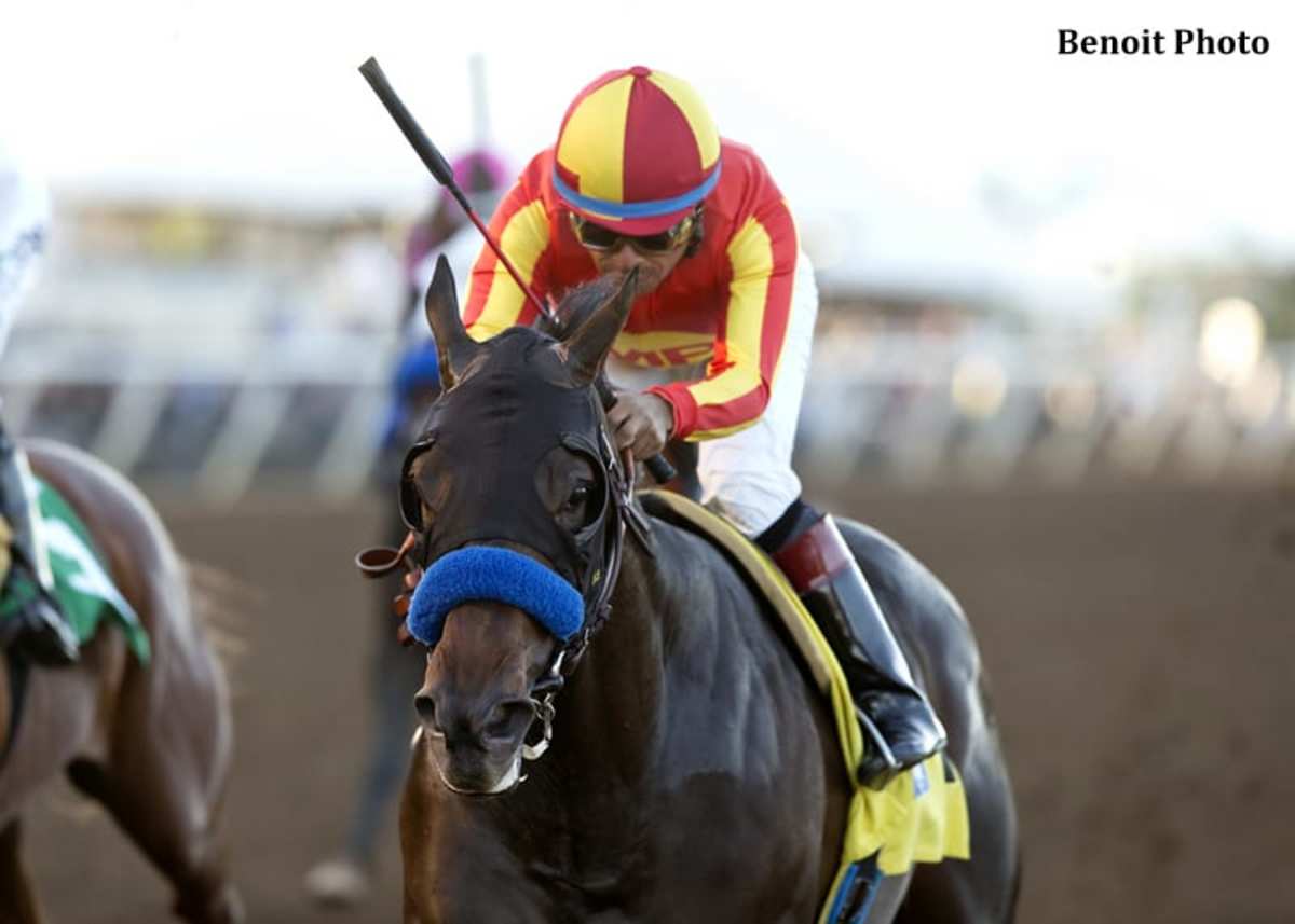 Toews On Ice Looks Tough In Saturday's G1 Los Al Futurity - Paulick ...