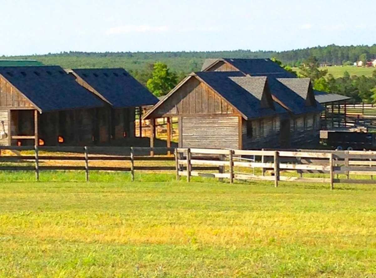 Breeders’ Cup Presents Connections: Choosing To Work For The Horse ...