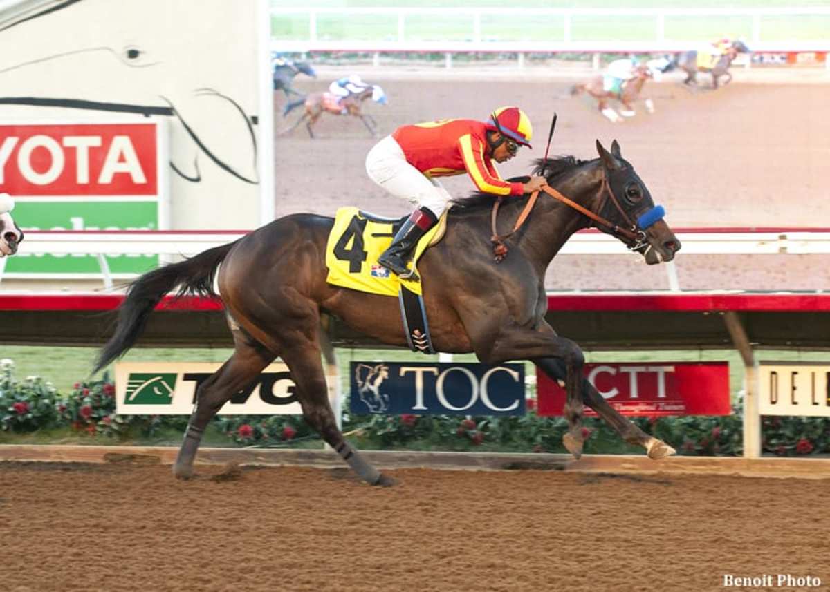 Toews On Ice Returns To Sprinting Friday At Santa Anita - Paulick ...