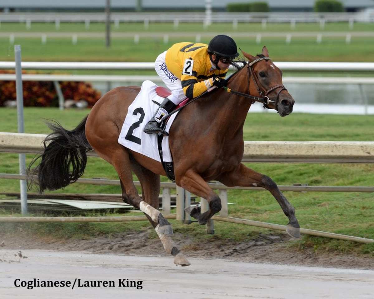 Trainer Nicks Captures Pair Of Gulfstream Lasix-Free Races Saturday ...