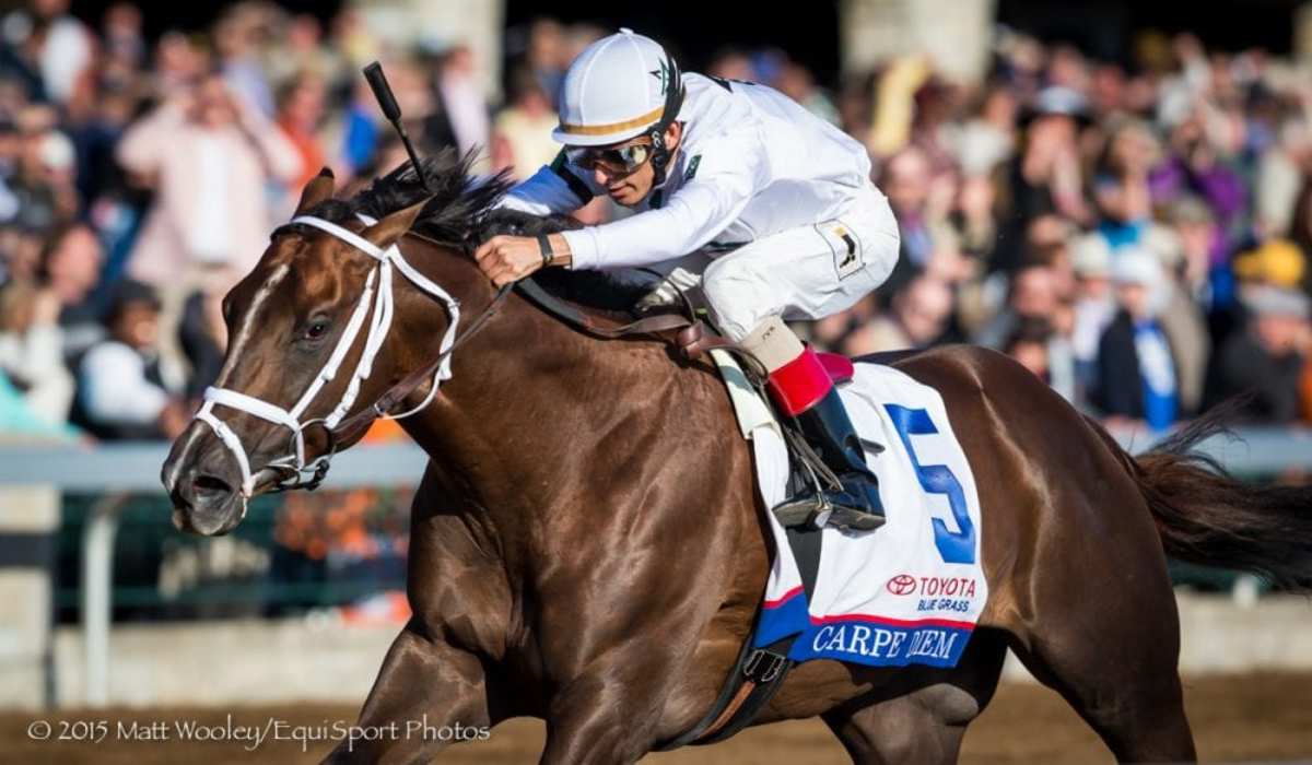 Blue Grass Winner Carpe Diem Retired To WinStar Farm - Paulick Report ...