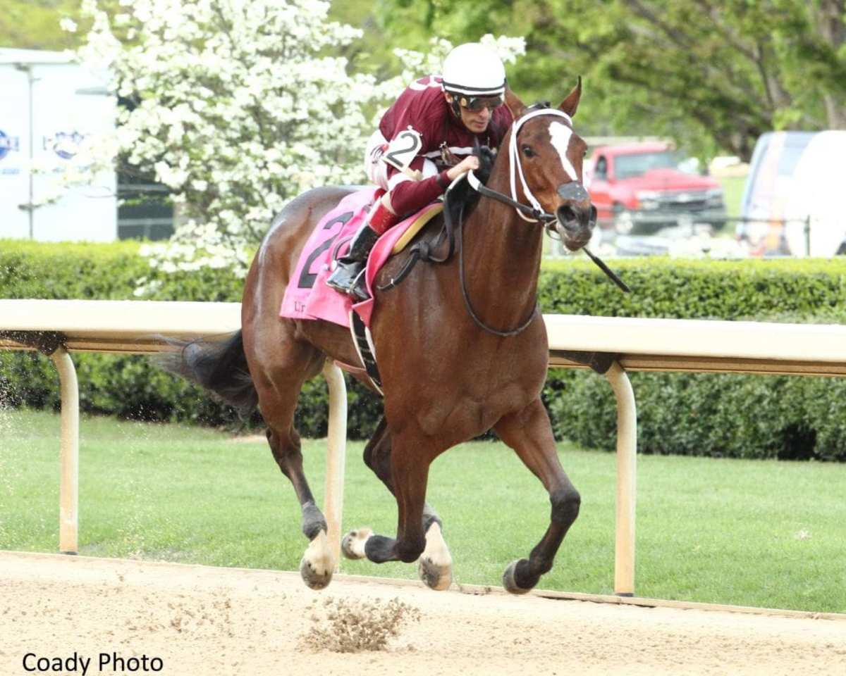 Untapable Gets Easy Victory In G1 Apple Blossom - Paulick Report ...