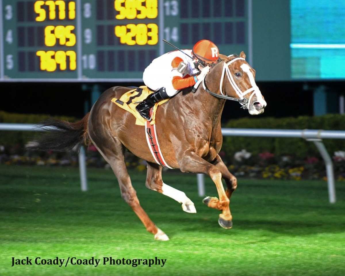 Louisiana Court Affirms 2014 Stakes Win For Disqualified Coalport ...