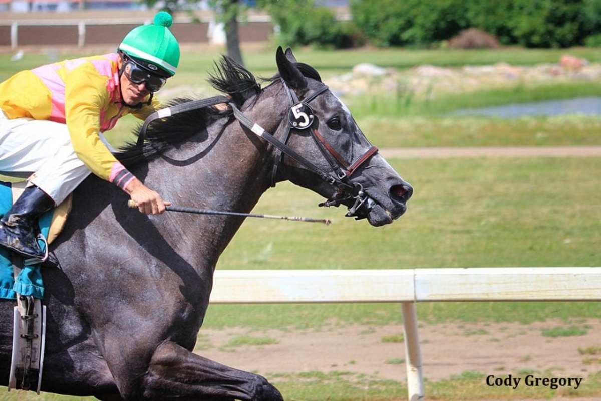 Video: Photographer Captures Racing's 'Emotion and Heart' - Paulick ...