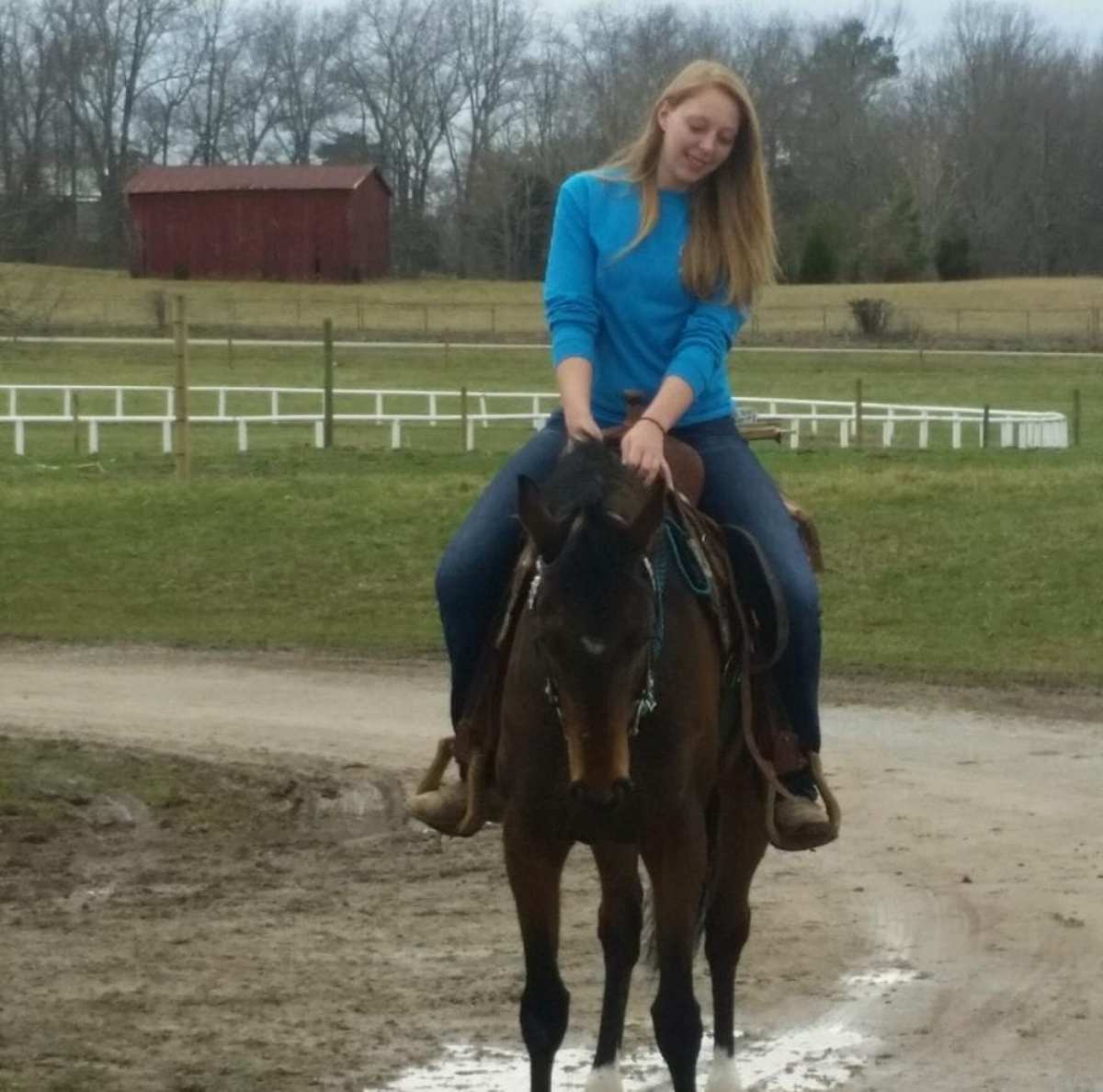 Cosequin Presents OTTB Showcase: Right Place, Right Time - Paulick ...