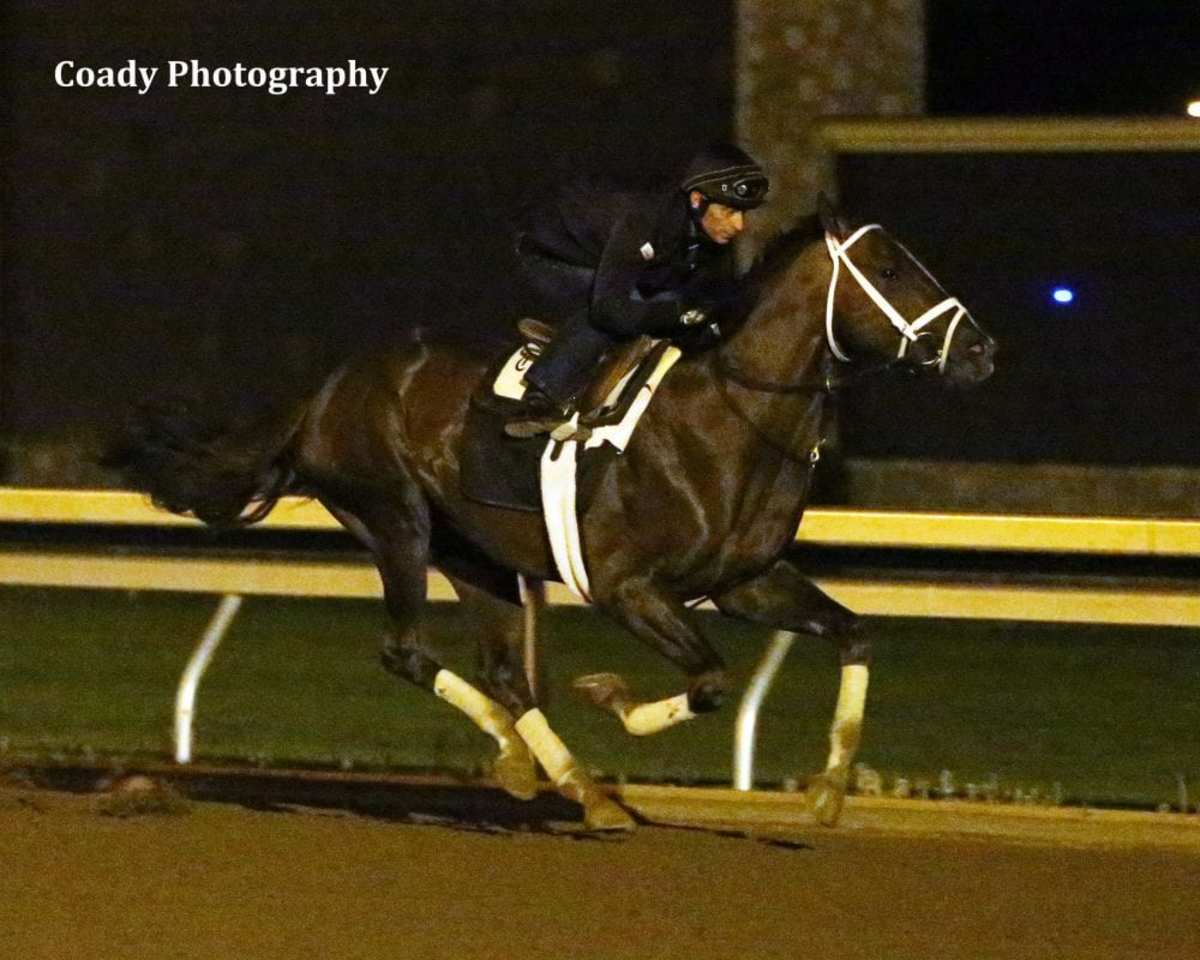 Carpe Diem, International Star Record Workouts - Paulick Report ...