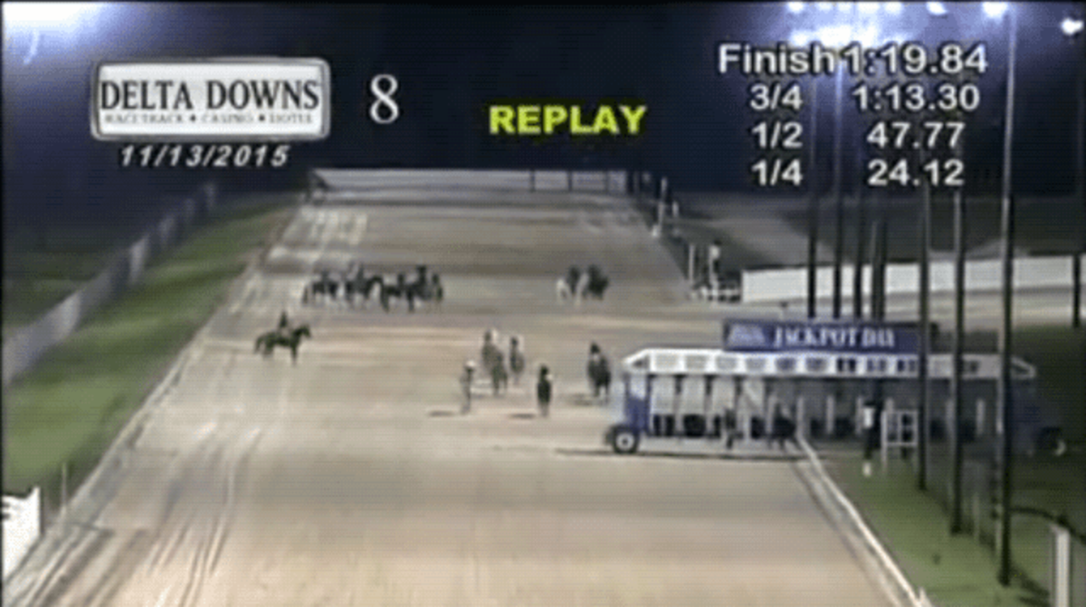 No Contest: Starting Gates Stuck On The Track During Eighth Race At ...