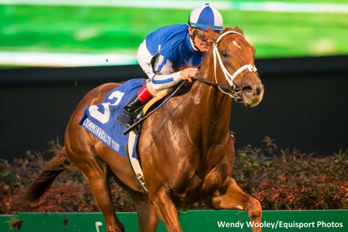 Grade 3 Winner Almasty Sold To Stand At Castle Peak Farm In Ontario ...