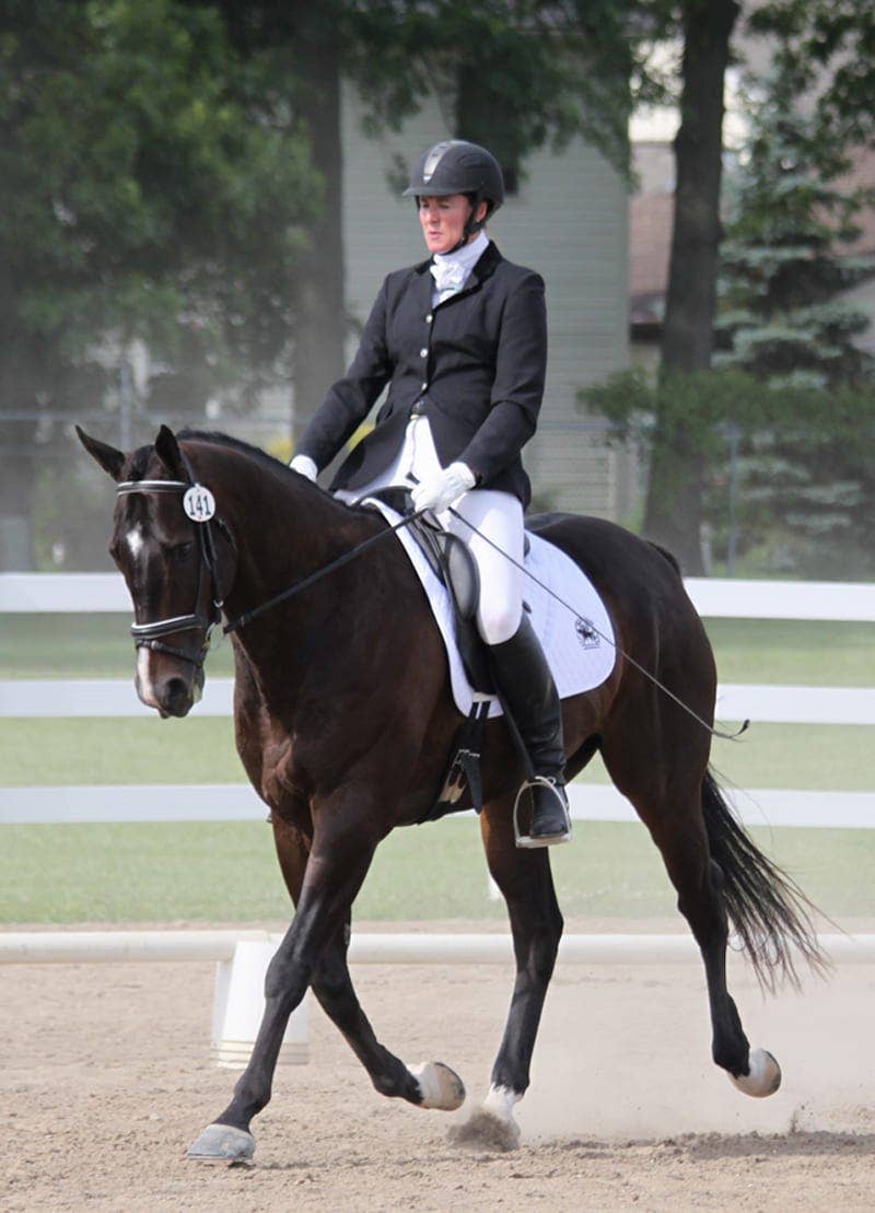 Thoroughbreds Take Center Stage At Horse Shows In Both Ohio And ...